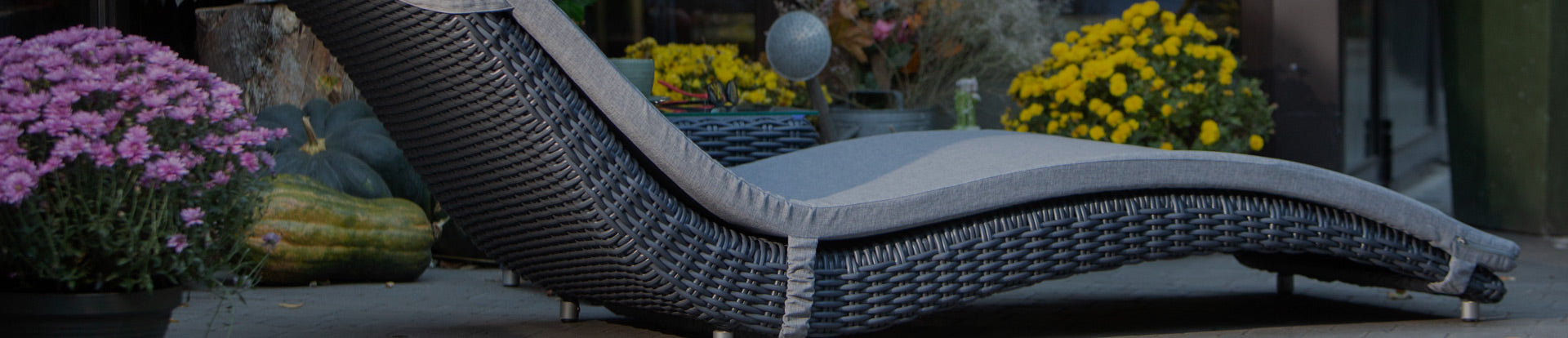 Comfort Zone – Terico